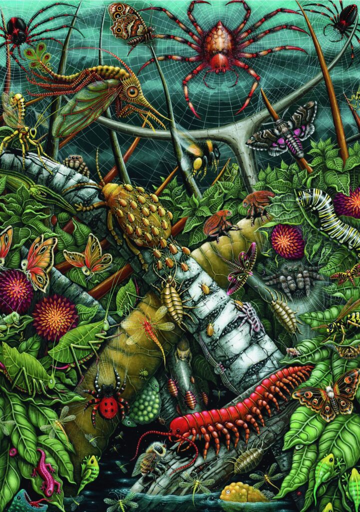 Orb Weavers; Torn Shrink Wrap - 15% OFF! - Art and Fable